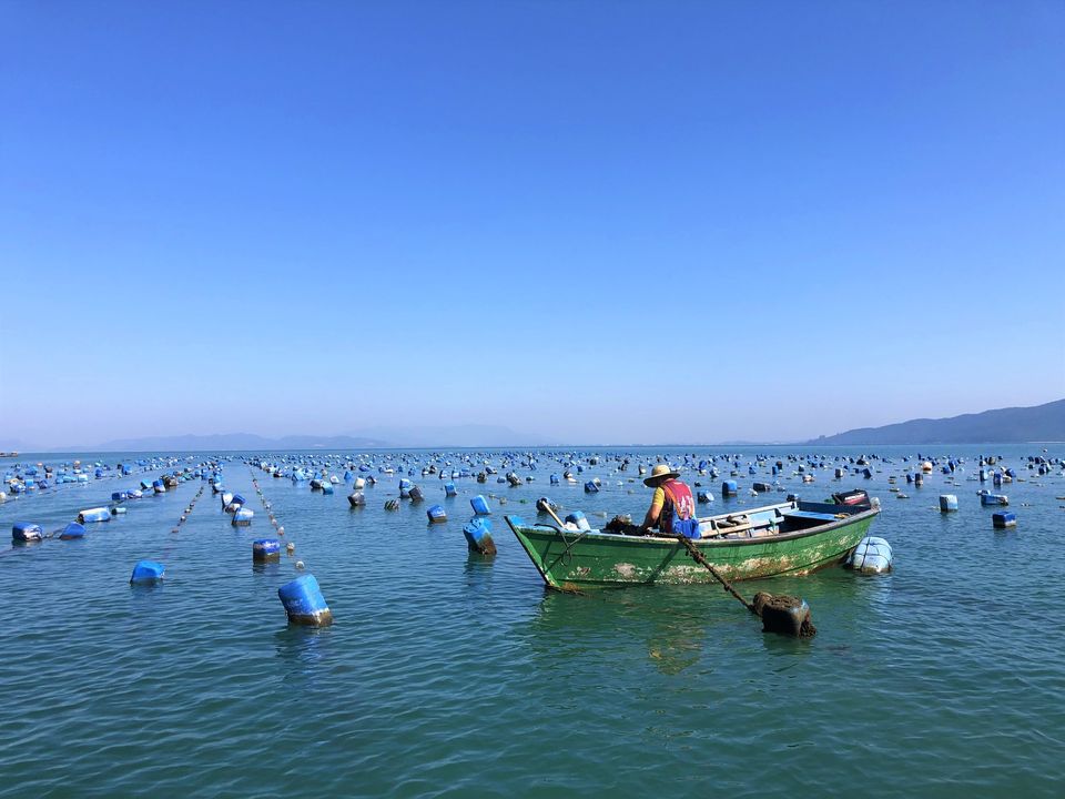 Cidade da região é uma das maiores produtoras de ostras e mariscos do ...