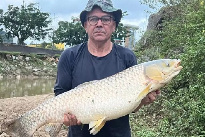 Pescador fisga peixe gigante - TopElegance